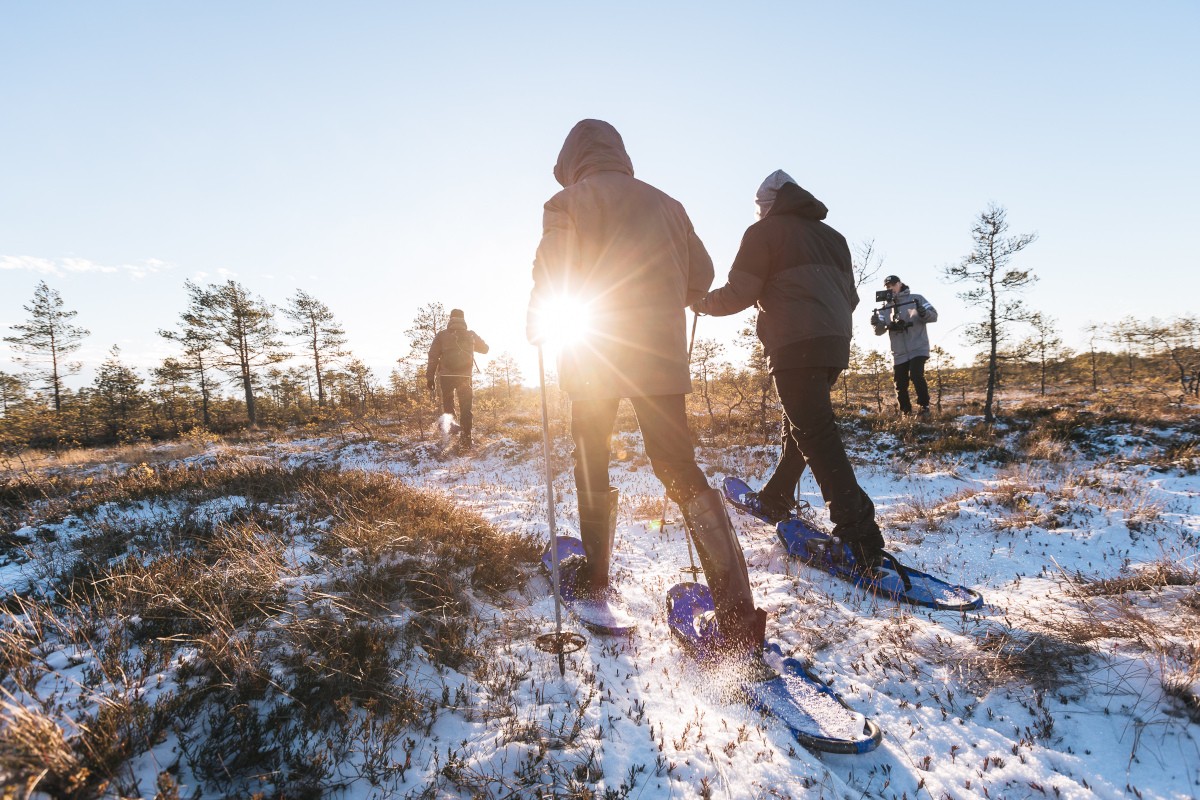 Estland: Der Geheimtipp im Norden - Ferientrends