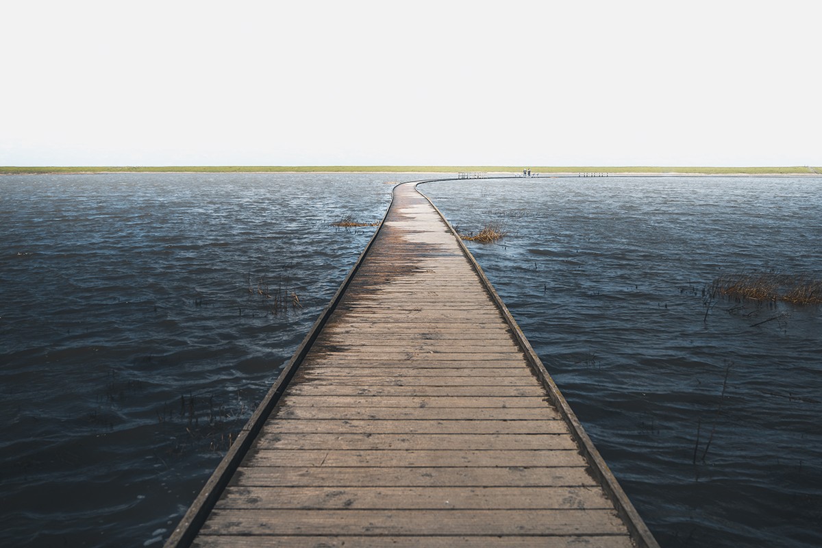 Zwischen Wattenmeer, Heide und Moor - Ferientrends